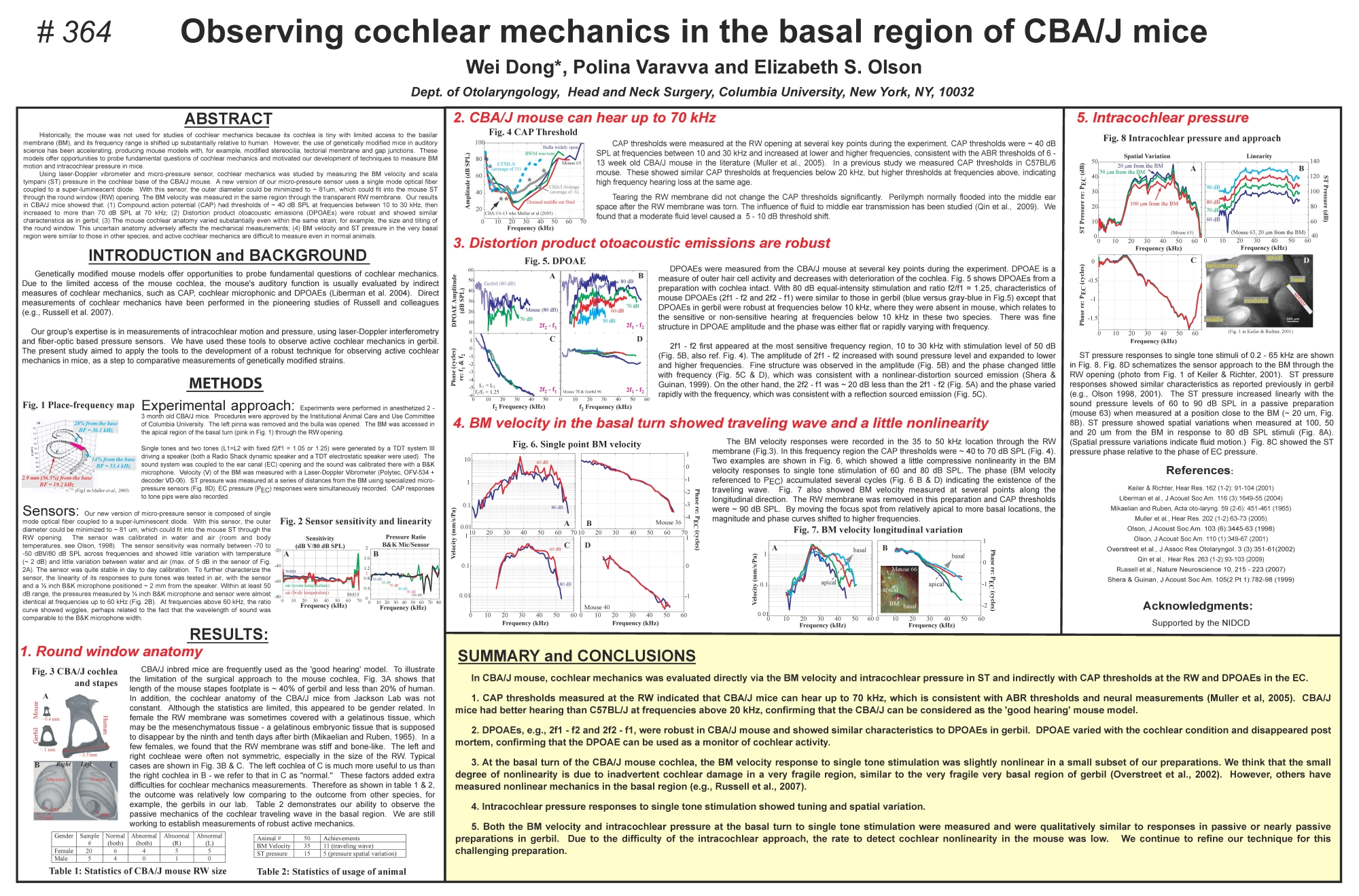 Observing cochlear mechanics in the basal region of CBA/J mice | Fowler Memorial Lab