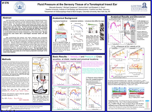 Fluid Pressure at the Sensory Tissue of a Tonotopical Insect Ear | Fowler Memorial Lab